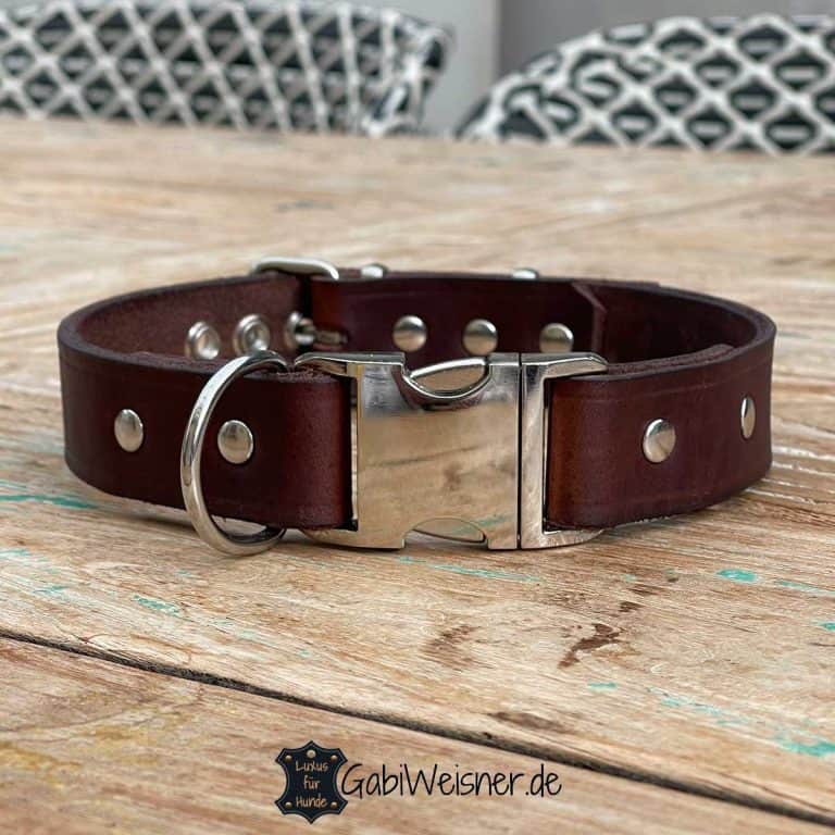 Hundehalsband mit Klickverschluss und verstellbar in Ösen
