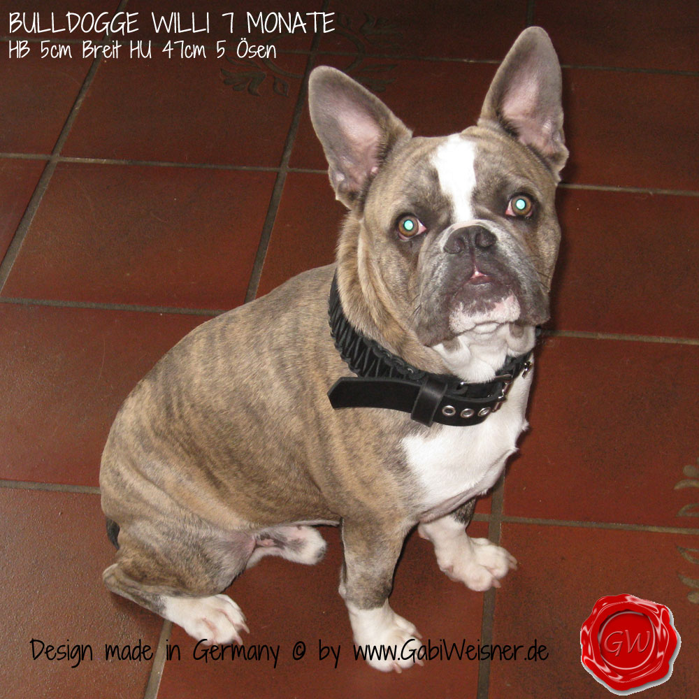 Sonderanfertigung auf Bestellung - Hundehalsband Leder • Luxus für Hunde